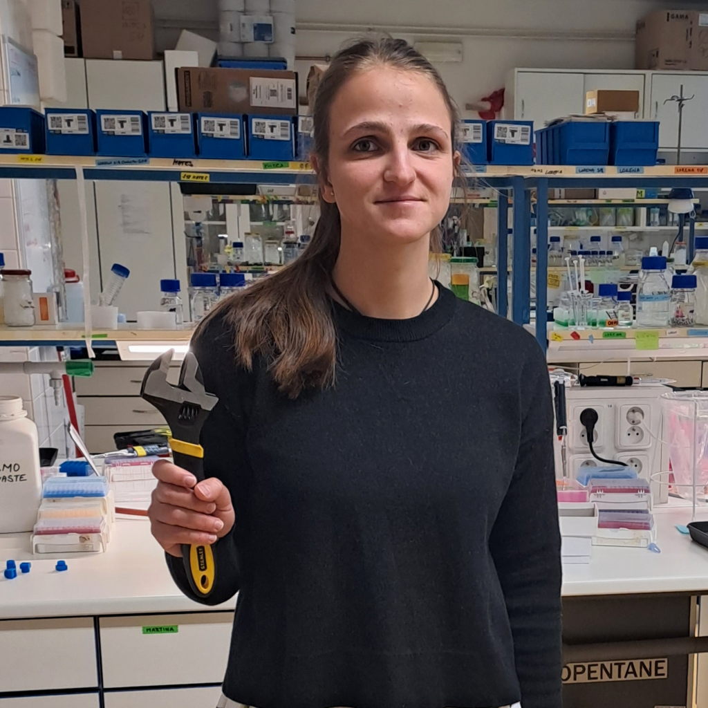 Team – plant morphodynamics