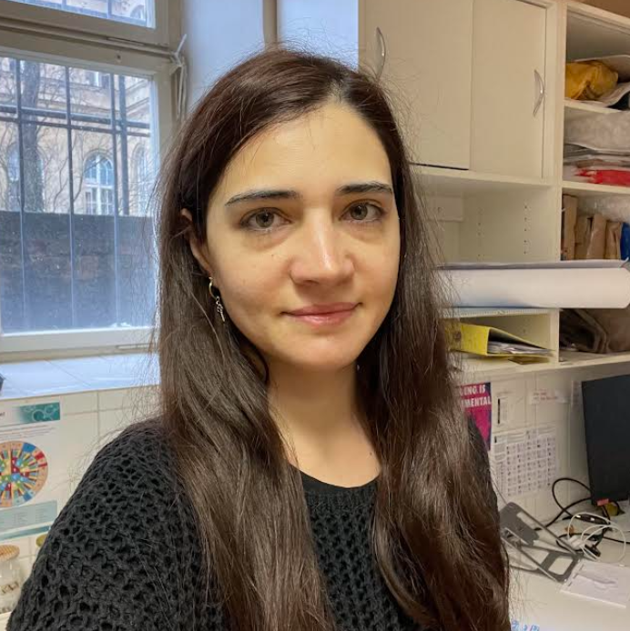 Team – plant morphodynamics