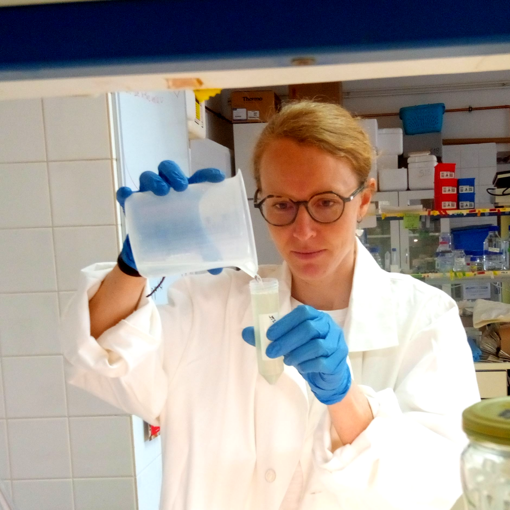 Team – plant morphodynamics