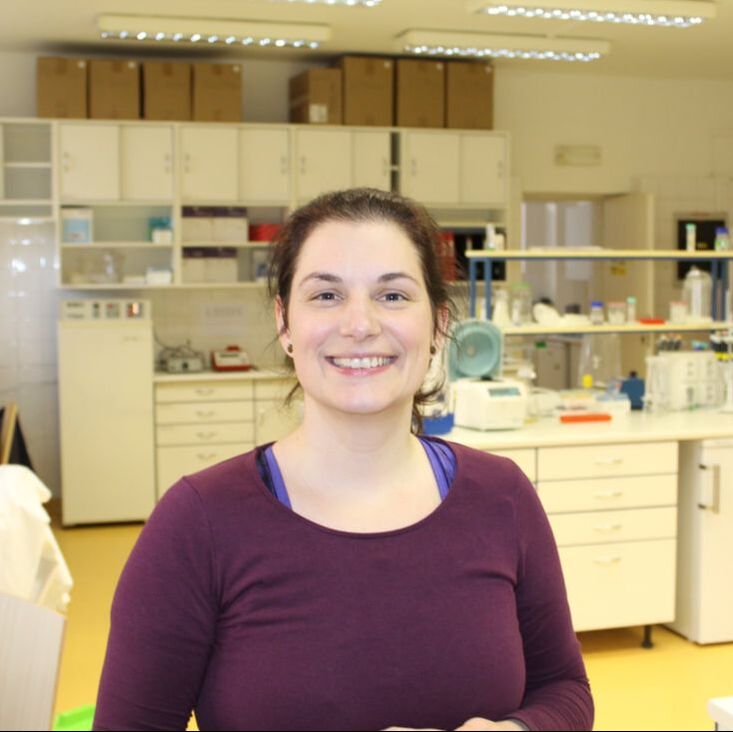 Team – plant morphodynamics