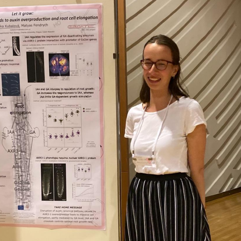Team – plant morphodynamics