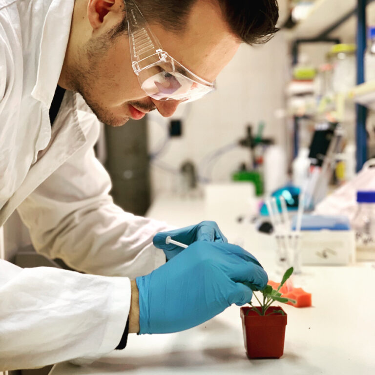 Team – plant morphodynamics